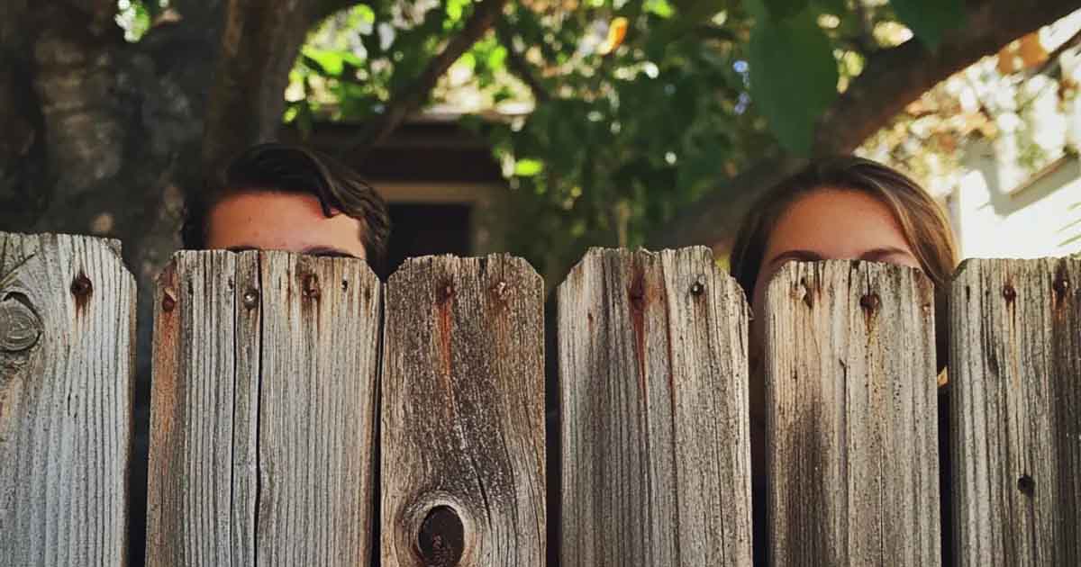 Strange neighbor stories with surprising endings