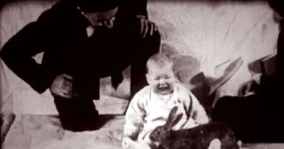 The tragic truth behind the baby used in psychology’s most disturbing ...
